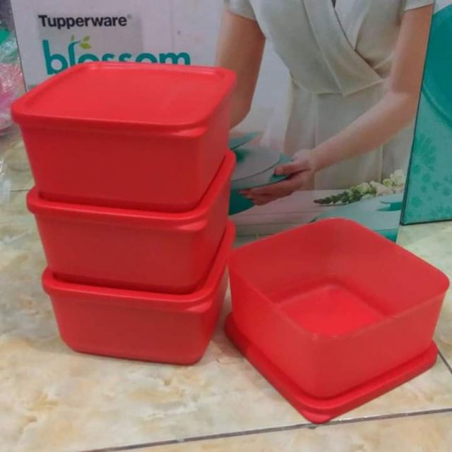 LELONG Tupperware red small summer 650ml | Shopee Malaysia