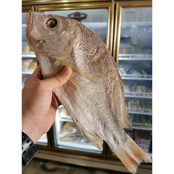 Ikan Jenahak Jeruk Kuantan(Mui Hiong) 关丹梅香咸鱼/梅香大眼鸡 (500grams ~ 1KGs ...