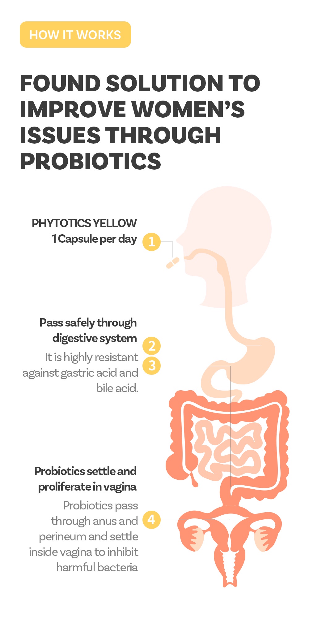 Phytotics Yellow, Probiotics + Zinc, For Women Vaginal Health And ...