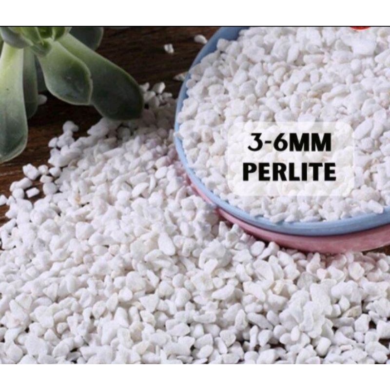 Perlite (2L) 3-6mm For Cactus & Succulents (Natural Expanded) (REPACK ...