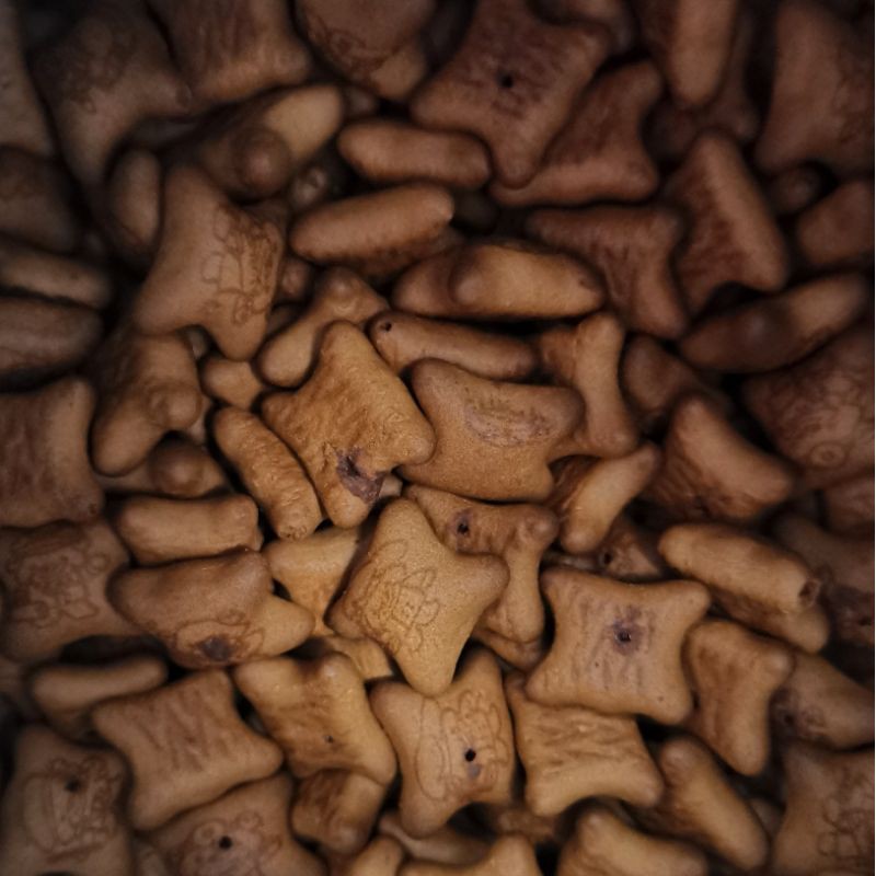 [BISKUT TIMBANG] BISKUT BEAR BERUANG (CHOCOLATE / DOUBLE CHOCO ...