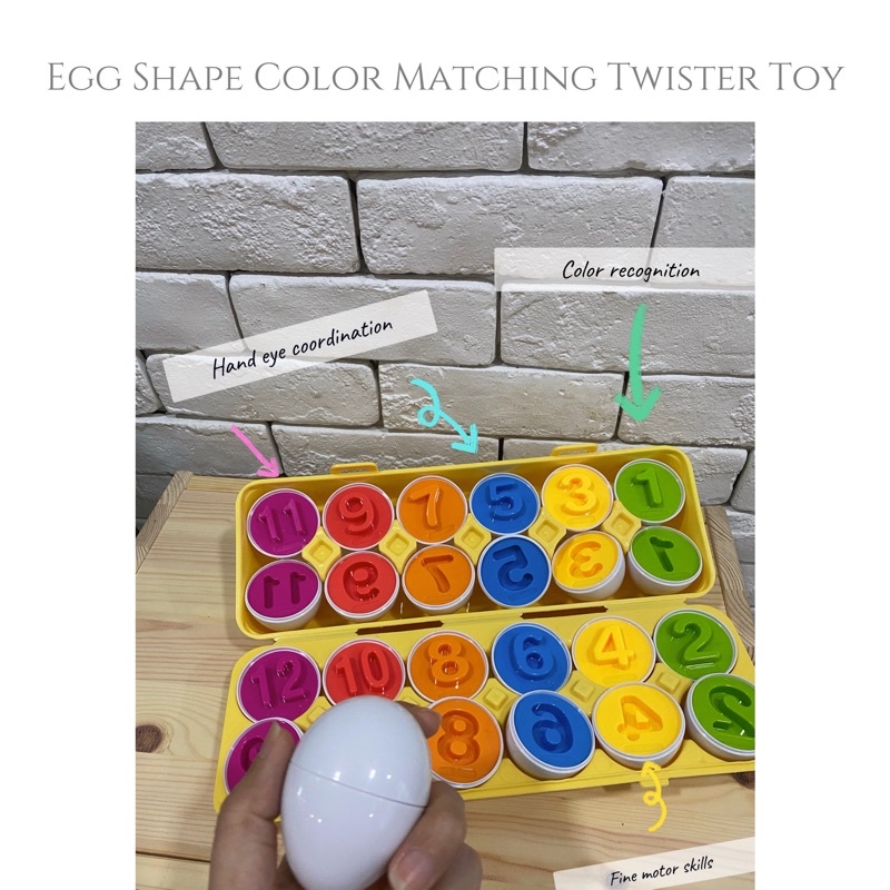 READY STOCK Matching Eggs Montessori Educational Early Learning ...