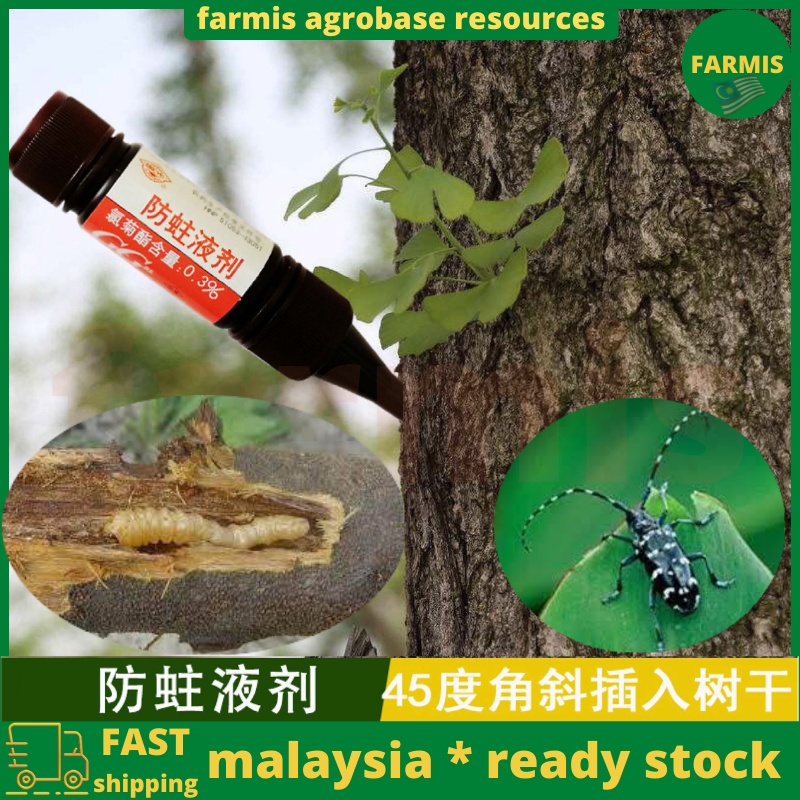 国光树体防蛀液剂 天牛杀虫剂克星 幼虫一插灵钻心虫蛀虫 Fruit tree borers absorb insecticides, tree ...