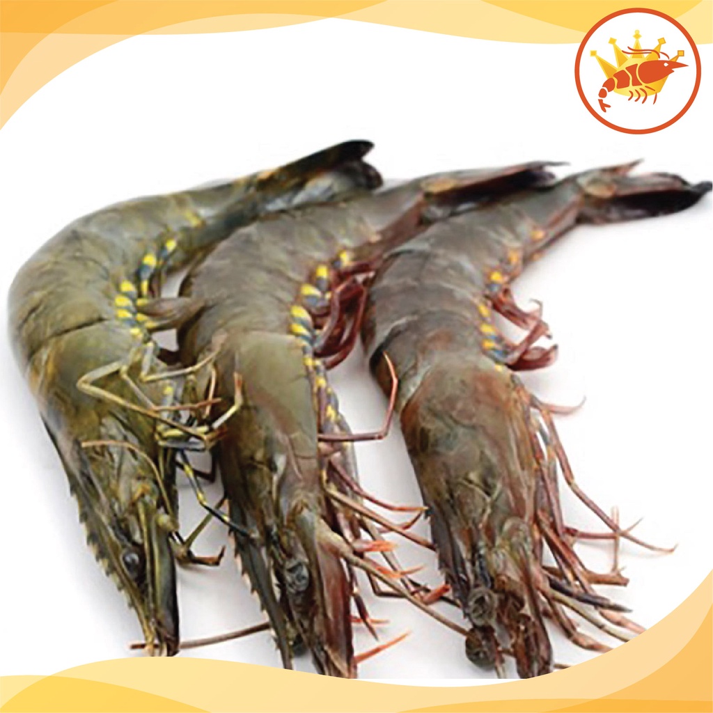 King Prawn/ XL Udang Laut 8/10 500g(SELANGOR) | Shopee Malaysia