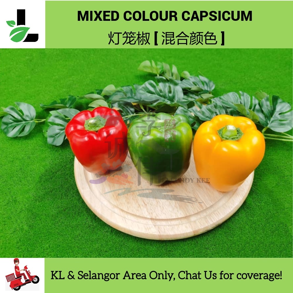 Mixed Color Capsicum - Red Yellow & Green 500-700gr - 灯笼椒 [ 混合颜色 ...