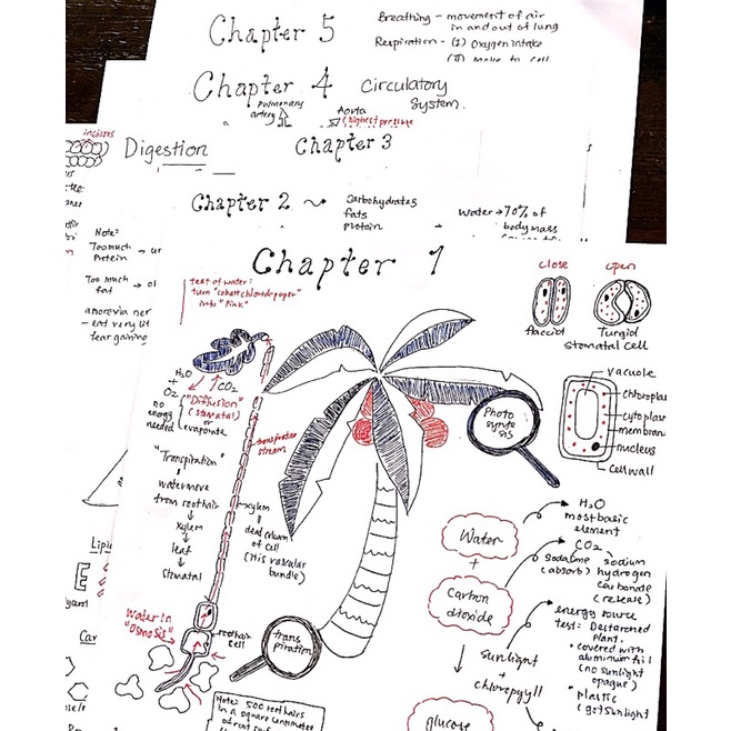 🔥[IGCSE Notes]IGCSE Year 8 SCIENCE Notes (Biology)hard copy | Shopee ...