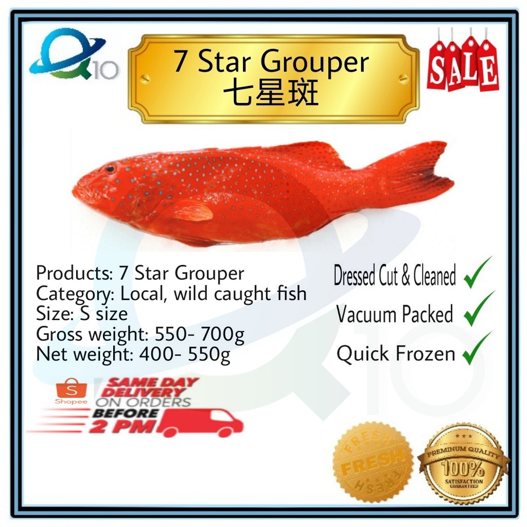 Seven Star Grouper, 7 Star Grouper, 七星斑 | Shopee Malaysia
