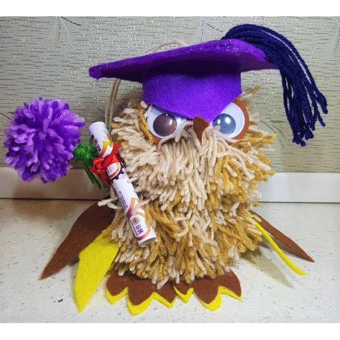 Graduation / Convocation Gift : Wisdom Owl with Scroll / Hadiah ...