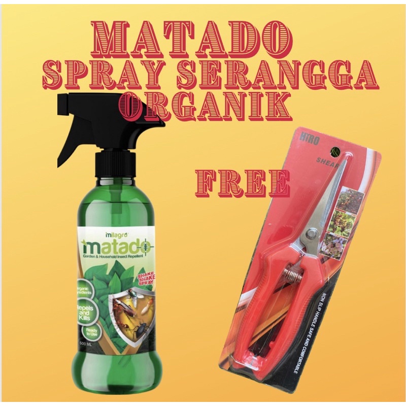 Matado Milagro Organik Spray Serangga Perosak Tanaman 2022: Belalang ...