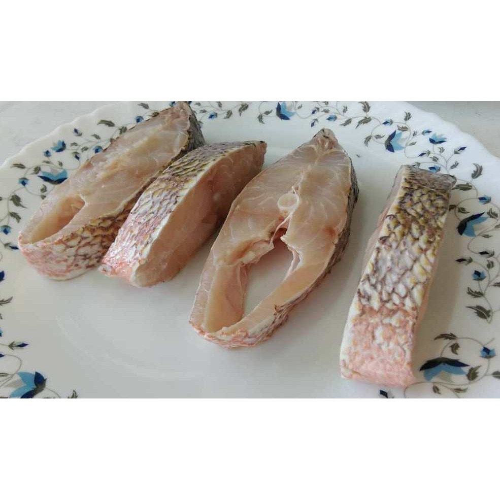 Ikan Merah / Siakap Merah / Kakap Merah (Mangrove Jack / Mangrove Red ...