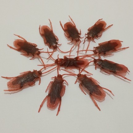 Fake Cockroaches Plastic Cockroaches Mischievous toys Similar to ...