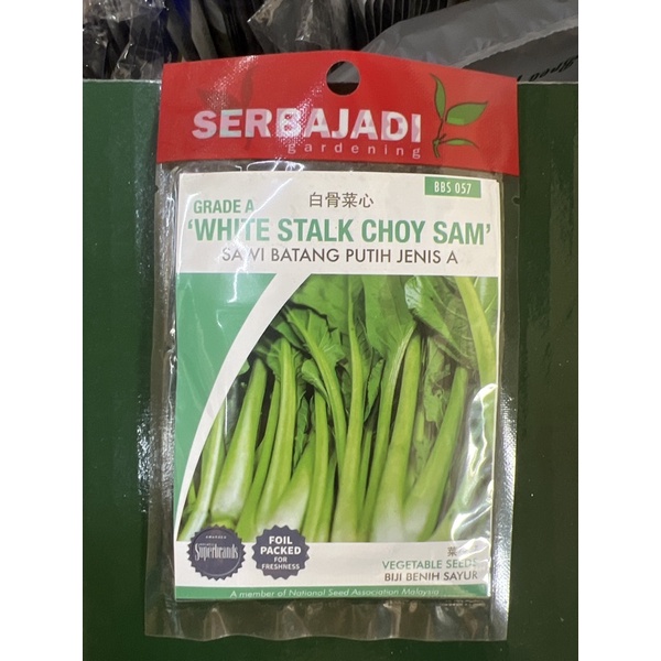 White Stalk Choy Sam BBS057 / Serbajadi Seeds / Benih Sayur Sawi Batang ...