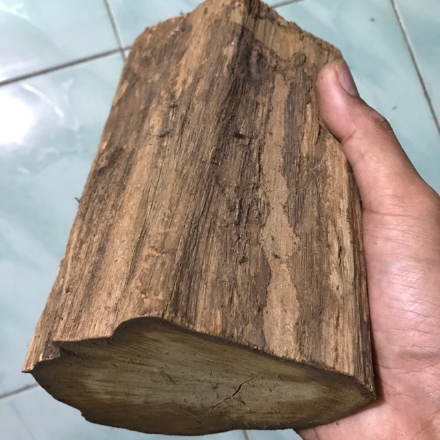 Teras kemuning emas asli | Shopee Malaysia