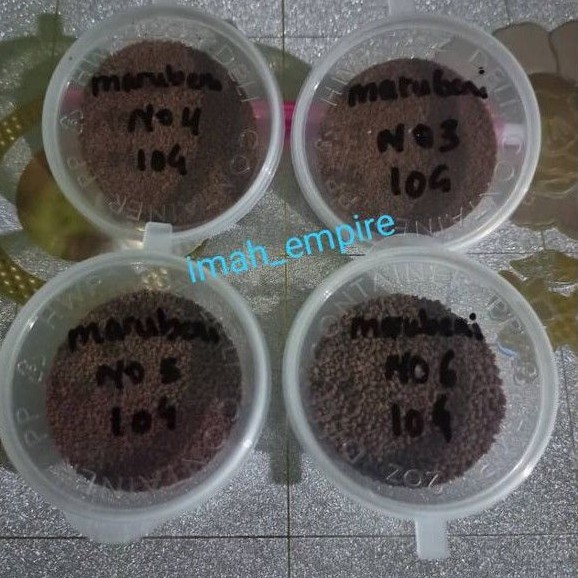 Marubeni Nisshin Feed Ikan Guppy/ Betta/ Laga/ Tropical Fish/ Ornamental Fish(BAJET)💥10 GRAM💥NO3 ...