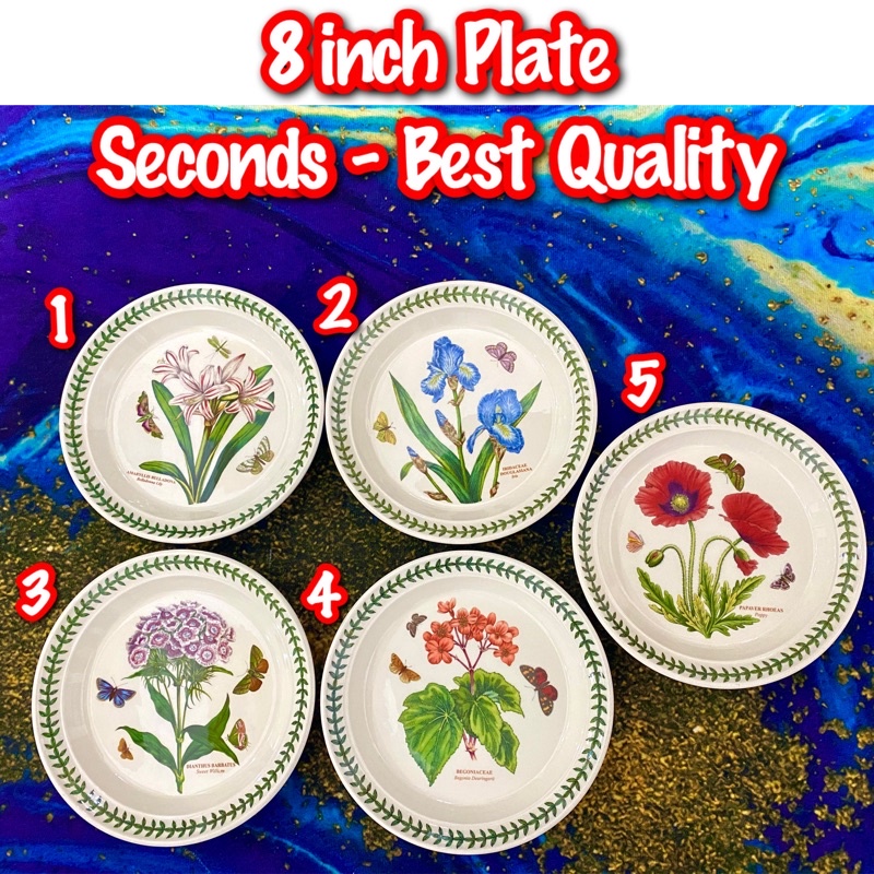 🔥CLEARANCE RENOVATION🔥 8 Inch Plate Portmeirion ( Best Quality ...
