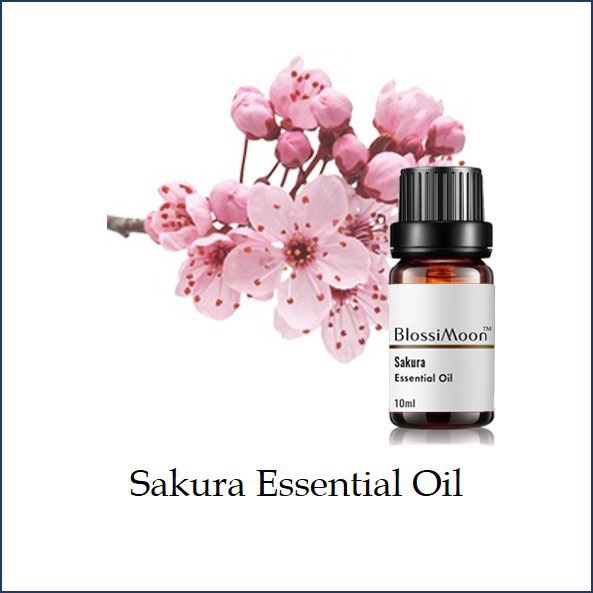 BlossiMoon Sakura Cherry Blossom Essential Oil 樱花精油 | Shopee Malaysia