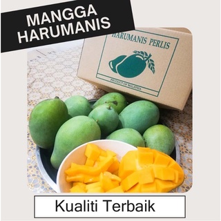 Mangga Harumanis Perlis 3Kg [Ready Stock] | Shopee Malaysia