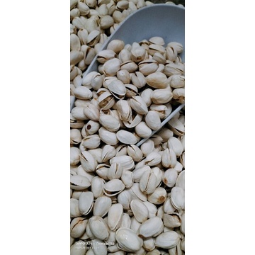 [READY STOCK] Pistachio / Kacang Cerdik 250g/500g/1kg | Shopee Malaysia