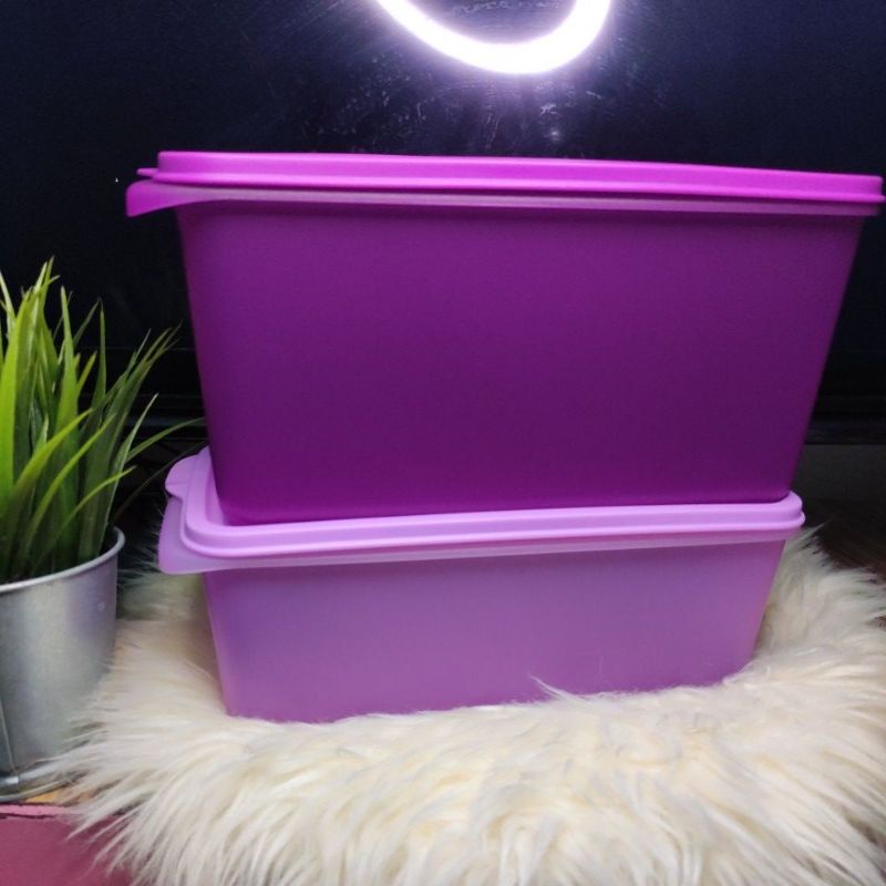 🔥🔥 READY STOCK 🔥🔥tup Tiffin 500ml tupperware brand,🔥🔥 OFFER 🔥🔥combo ...