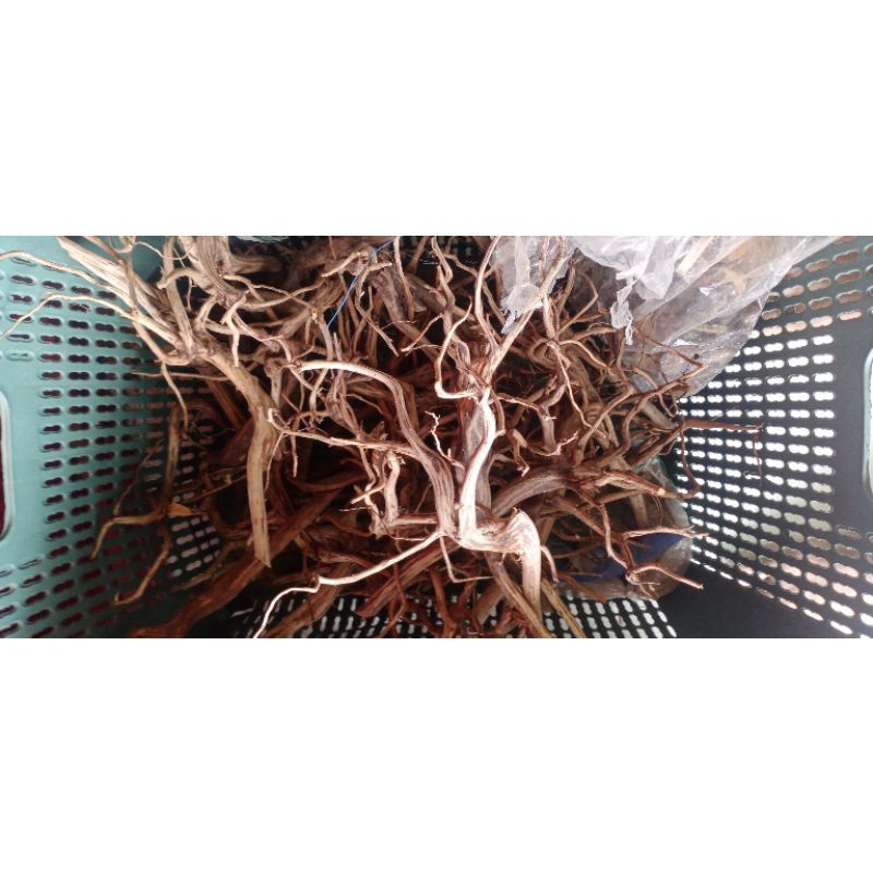 KAYU Rasamala aquscape Wood | Shopee Malaysia