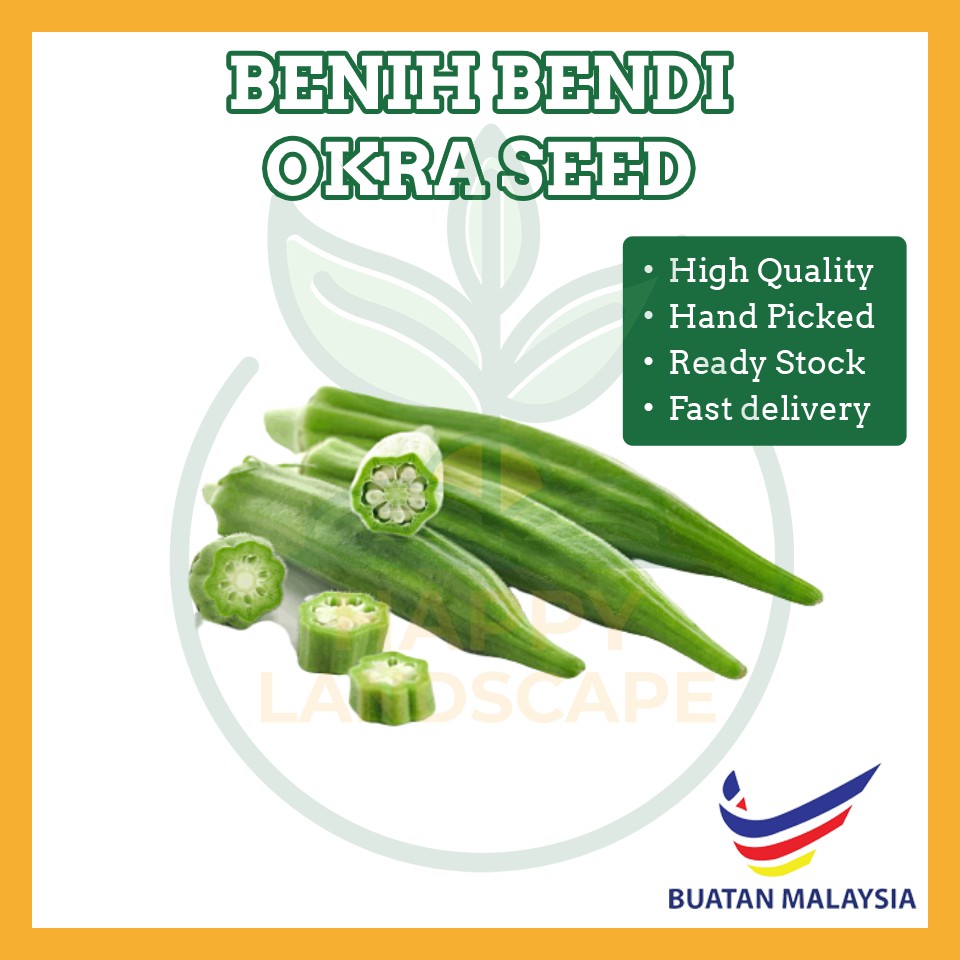 Benih Kacang Bendi Okra Seed | Shopee Malaysia