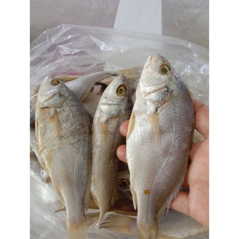 IKAN KERING GELAMA BELAH GELAMA KLEPEK GELAMA BEKOK IKAN GELAMA JERUK ...