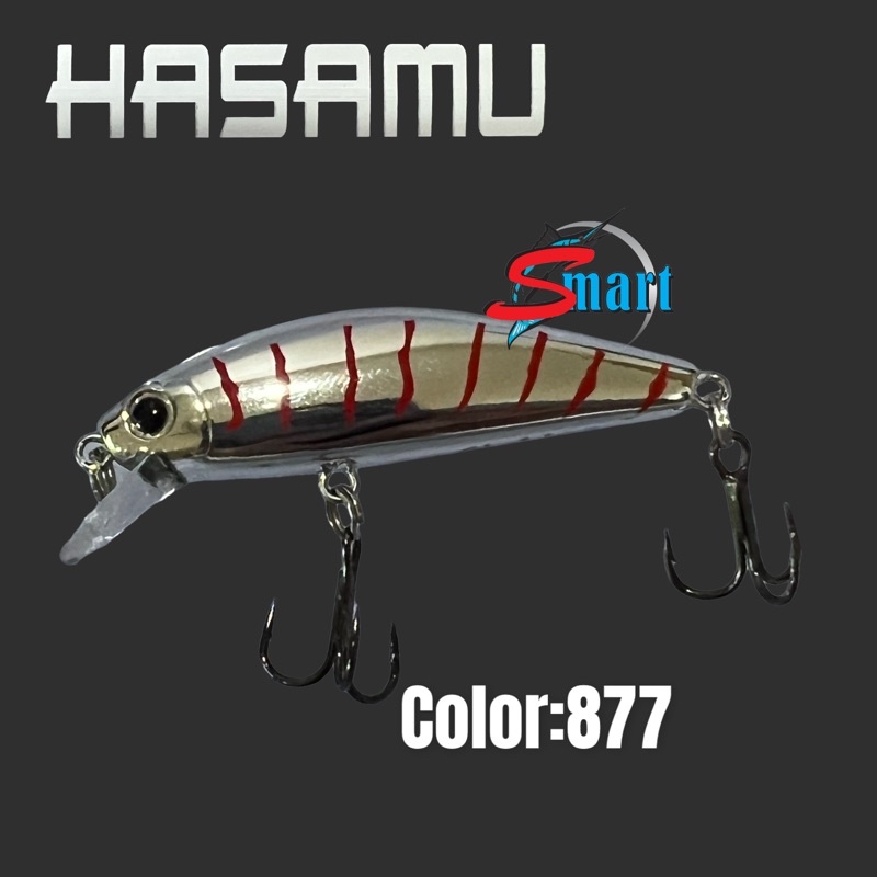 HASAMU HL20 / 50MM 6.8G HARD LURE | Shopee Malaysia