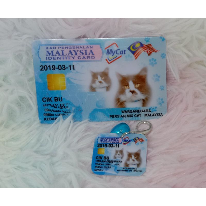 Set Tag Kucing Comel + IC Kucing | Shopee Malaysia