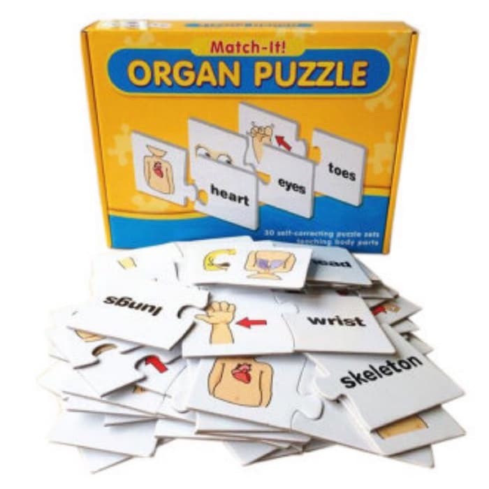 My Body Matching Puzzles / Organ / Biology | Shopee Malaysia