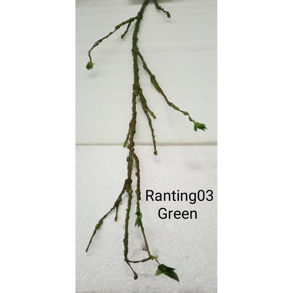 Ready Stock!!! Ranting03 Ranting bunga, hiasan pelamin, hiasan hantaran ...