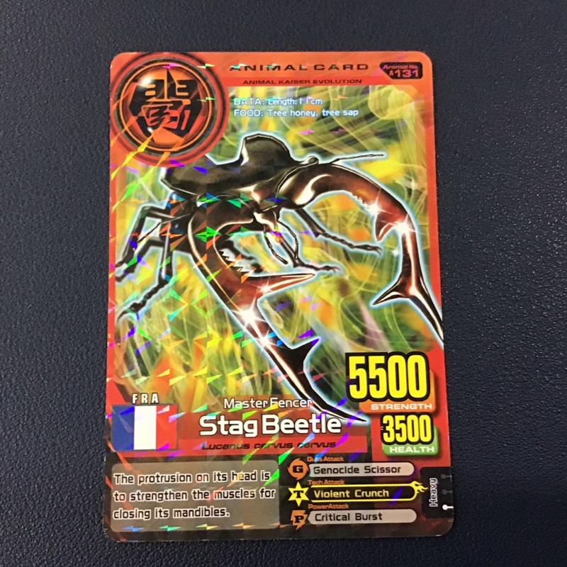 Animal Kaiser Card Evo 2 Stag Beetle(A131) | Shopee Malaysia