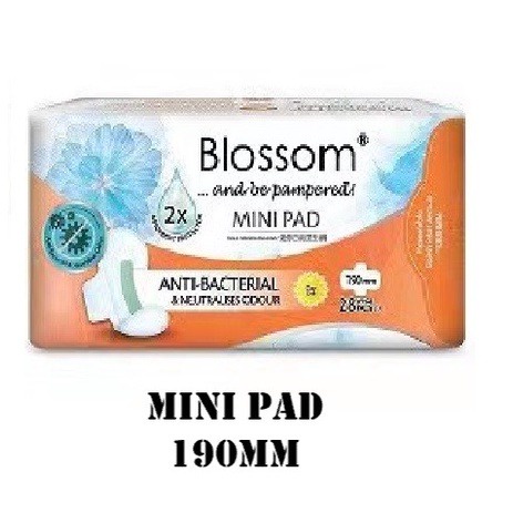 Blossom Pad/Sanitary Pad🔥Ready Stock🔥Day Use Ultra Thin/Pantyliner ...
