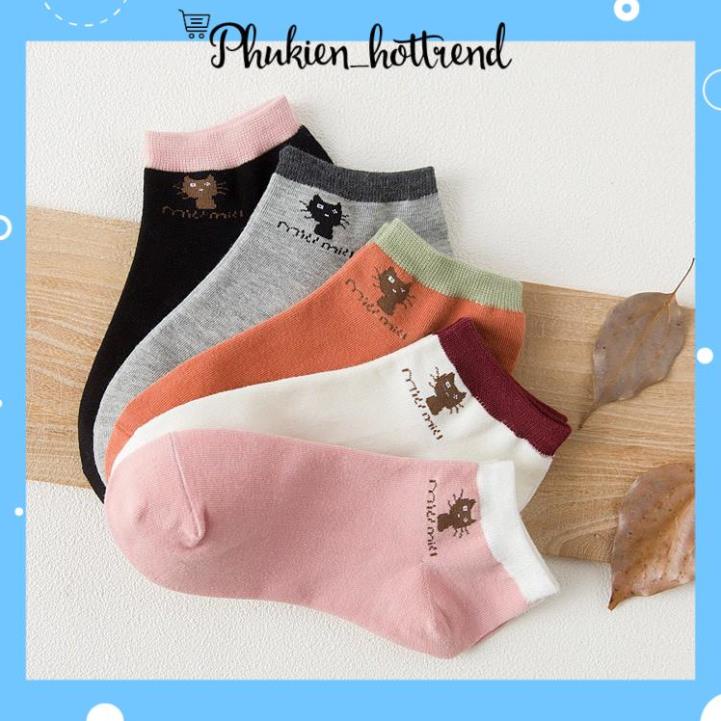 Set of 5 Pairs of Miu Miu Cat Socks to Prevent Foot Odor for Super ...