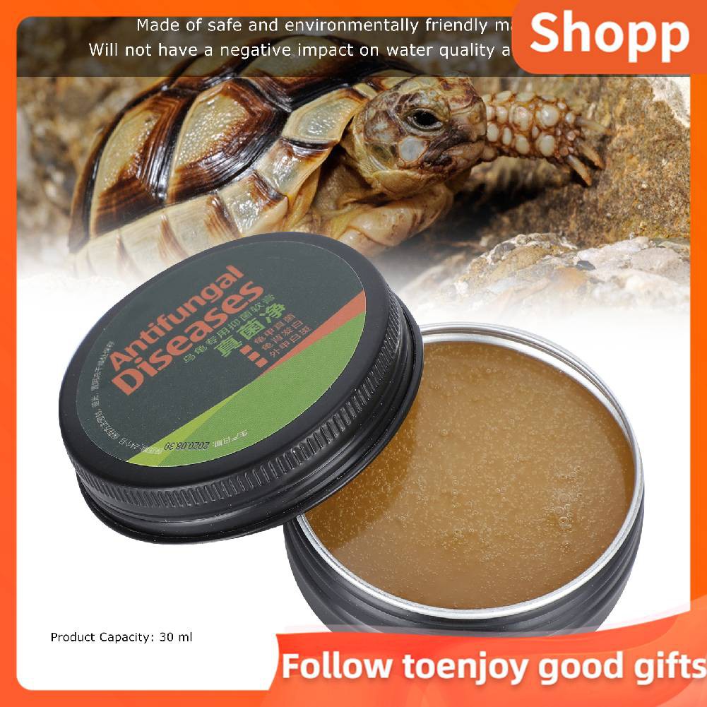 [READY STOCK] High Quality Antifungal Turtle Care Shell Cream Remove ...