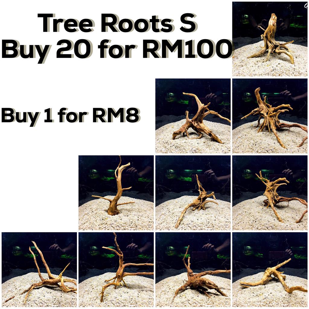Bundle Tree Roots S Size(Aquascape/Aquatic/Wood /Vivarium/Paludarium ...