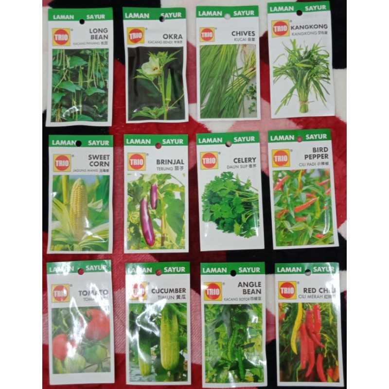 Biji Benih Sayur Brand Trio Terbukti Tumbuh Menghasilkan Sayur Yang ...
