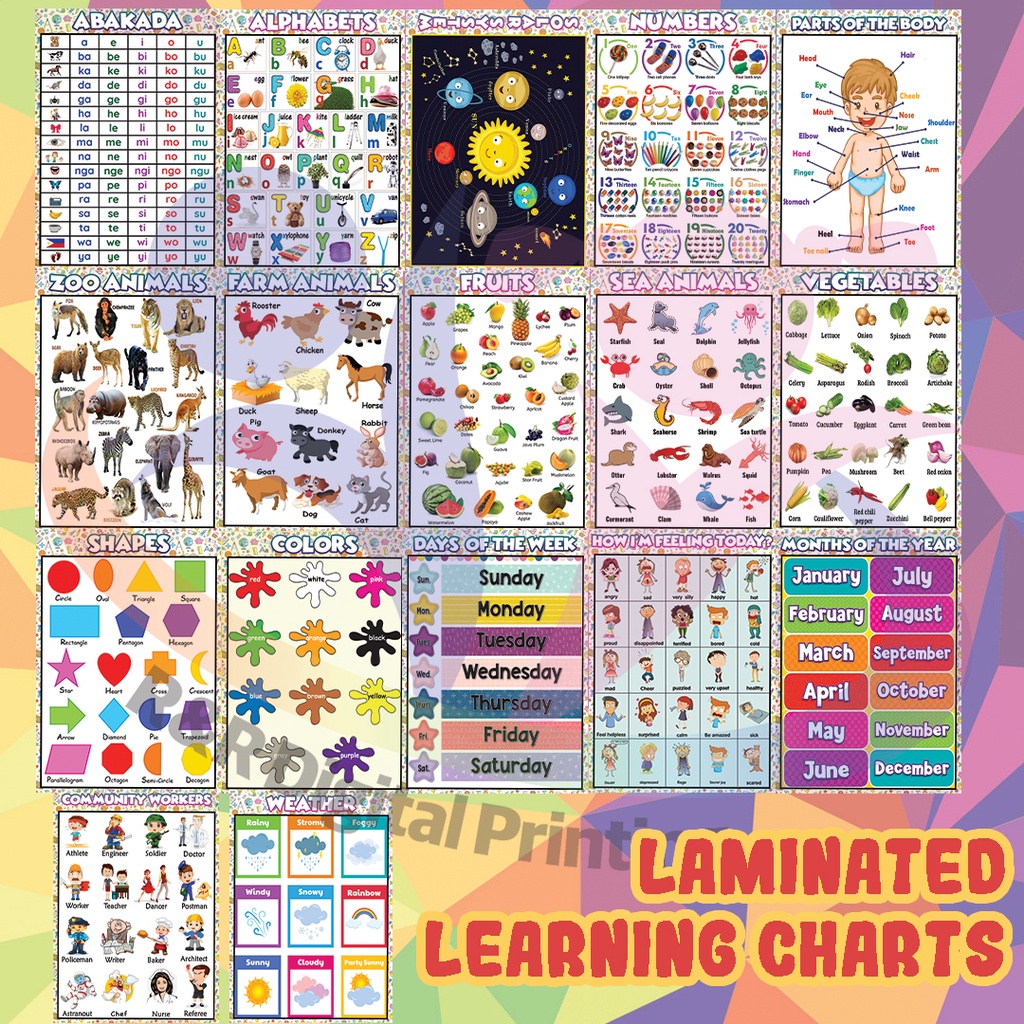 Laminated Learning Charts for Kids and Babies (Singles) | Shopee Malaysia
