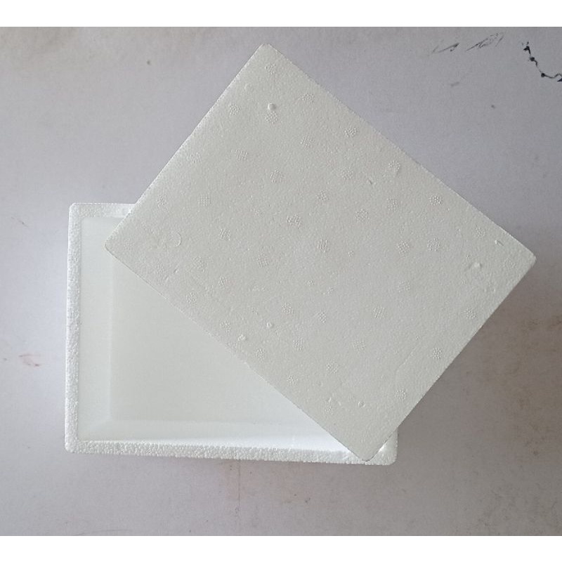 Kotak Gabus bungkus Ikan BETTA/ Styrofoam Box for BETTA Sesuai untuk 3 ...