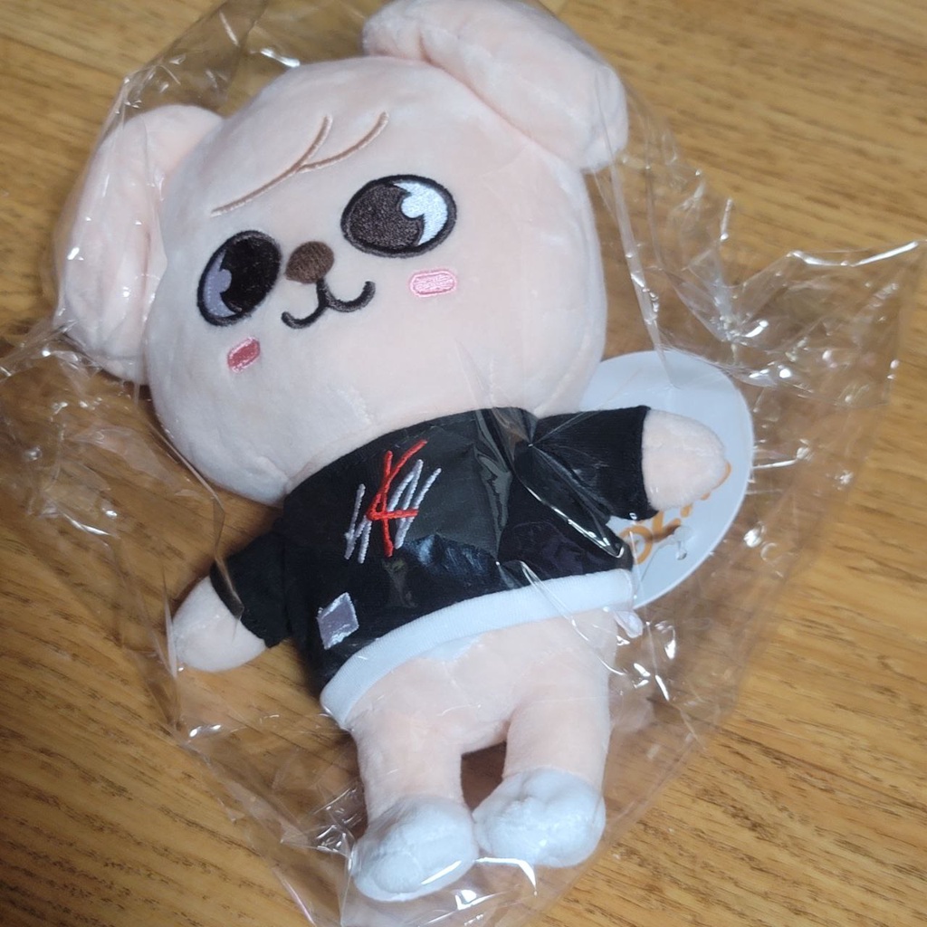 STRAY KIDS x SKZOO plush original doll POP-UP STORE THE VICTORY in ...