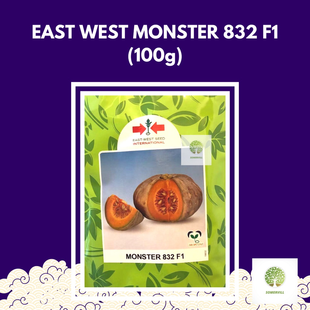 East West Monster 832 F1 (100g) | Benih Labu | Labu Monster | Labu ...