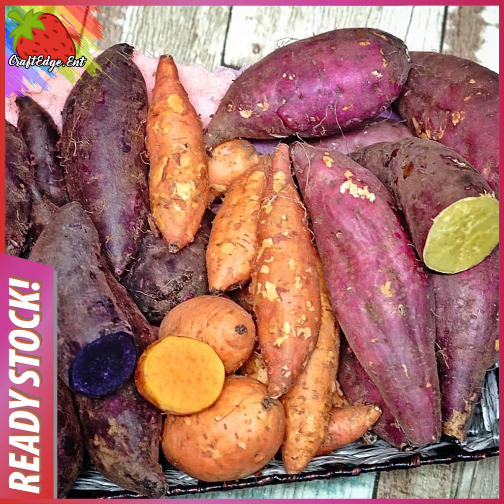 [RESTOCK!!!] UBI KELEDEK MADU CAMERON HIGHLANDS / SWEET POTATO [ KUNING ...