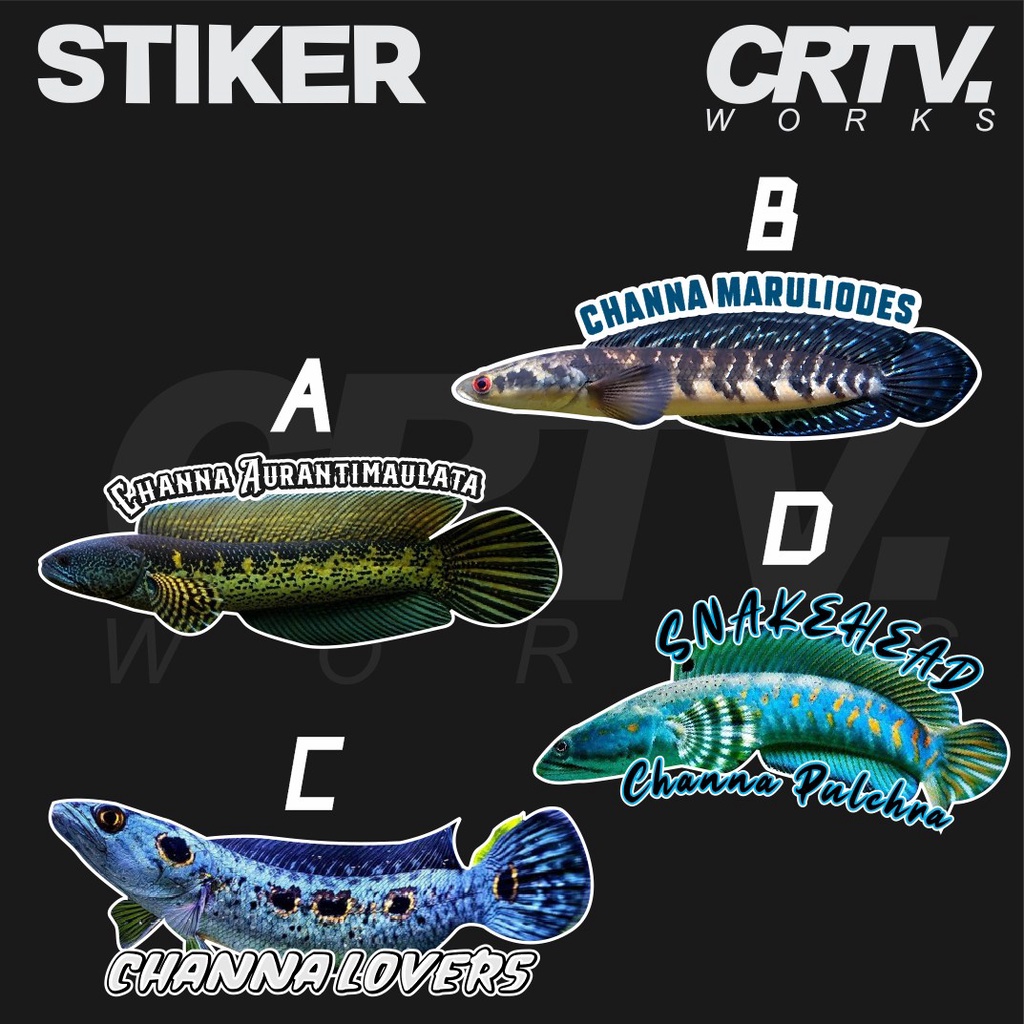 Channa Lovers Snakehead Fish Aquarium Sticker - Crtv | Shopee Malaysia