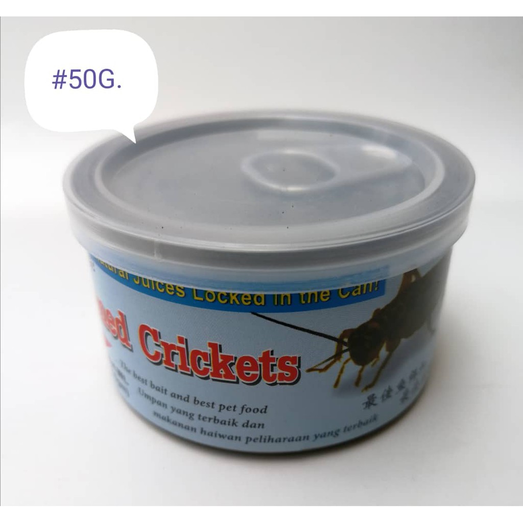 Canned Cricket Farm Raised for Aquarium Fish Lizard Snake Bird Frog ...