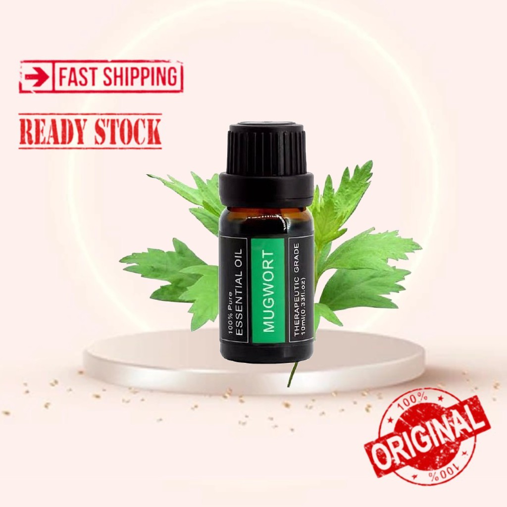 ForMe Mugwort aka Artemisia Vulgaris Wormwood Essential Oil 10ml ...