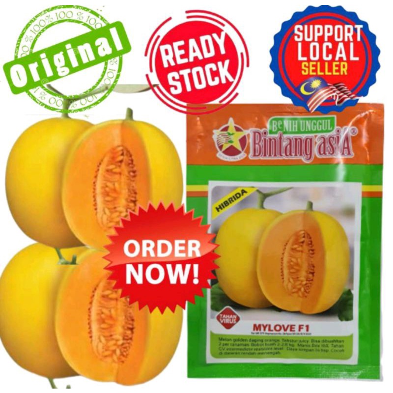 Biji benih Golden Melon My LOVE F1 Bintang Asia (Packet 650++ seeds ...