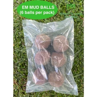MIDORI SHOPS, Online Shop | Shopee Malaysia