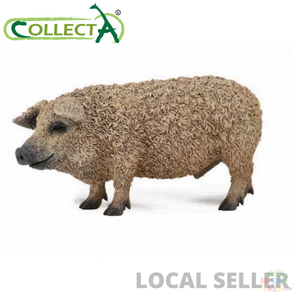 Hungarian Pig - Collecta 88674 Farm Life Pig Animal Action Figures ...