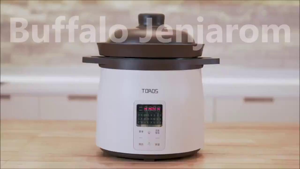 BUFFALO TOROS Multifunction Zisha Pot Stew Cooker 5L | Pre-set Menu | 1 ...