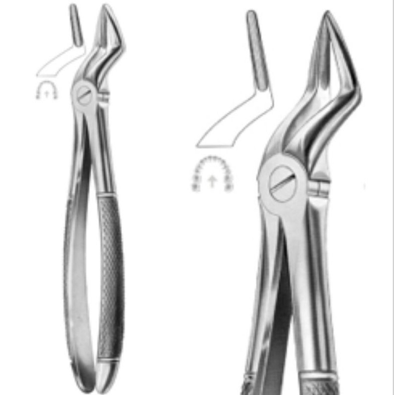 extracting forceps fig 51A upper root narrow back | Shopee Malaysia