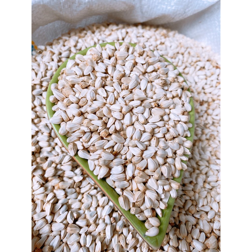 White kham seeds for birds - 1kg pack | Shopee Malaysia